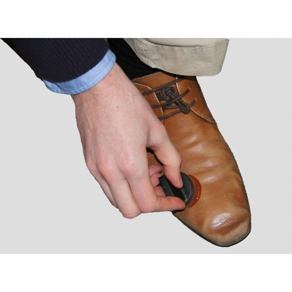 Shoe Shine & Colour Restorer