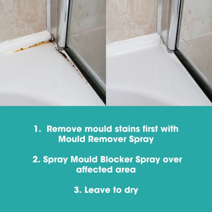 Mould Blocker Spray